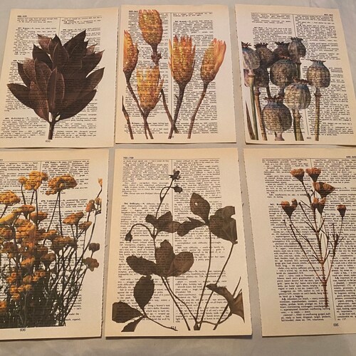 Floral Themed Dictionary Prints - Etsy