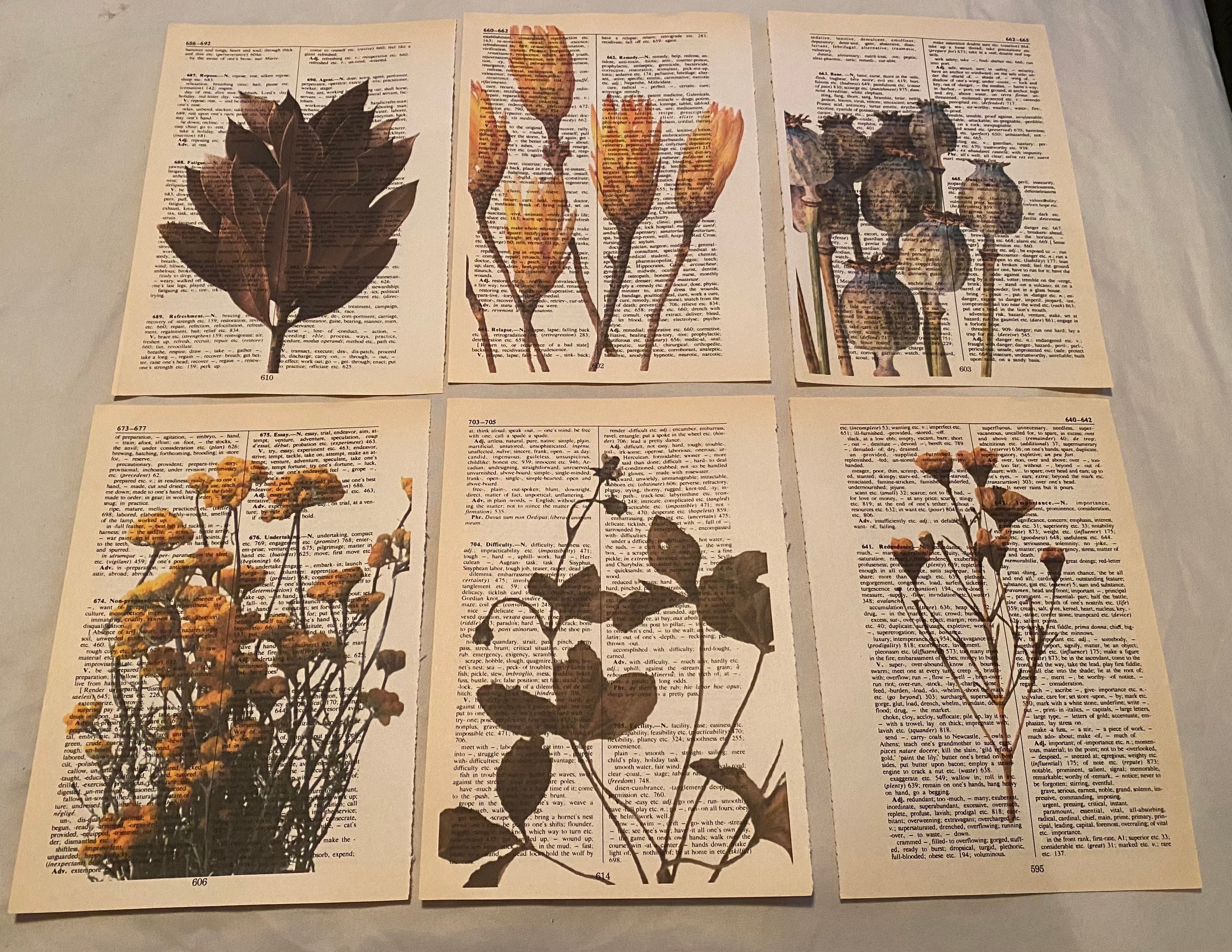 Flower Themed Dictionary Prints - Etsy
