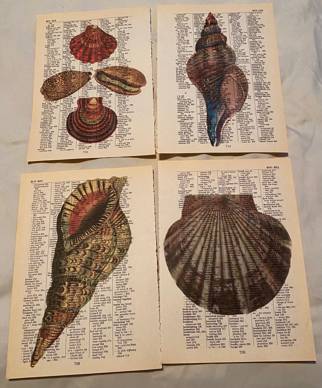 Sea Shell Themed Dictionary Prints - Etsy