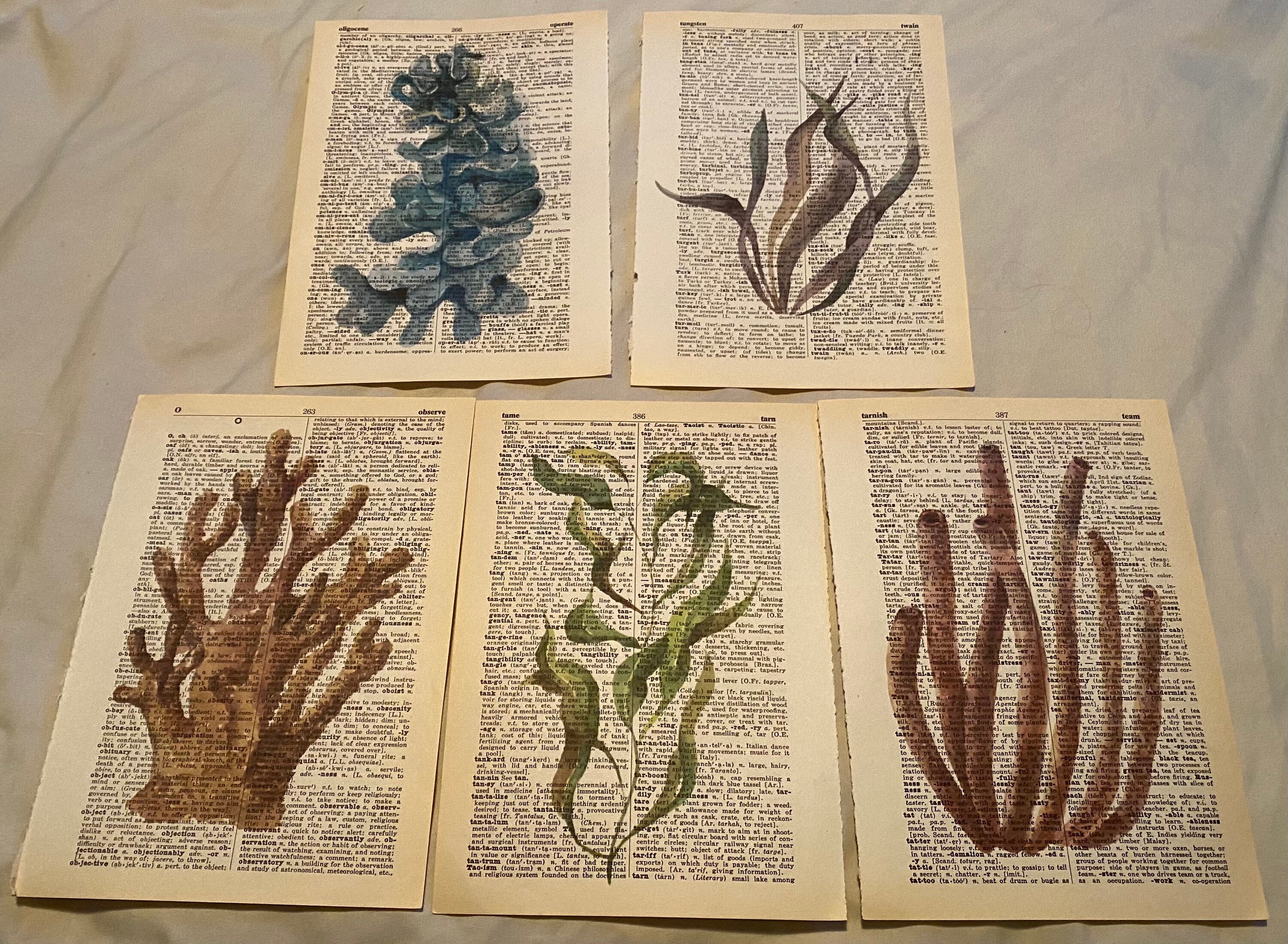 Sea Life Coral Themed Dictionary Prints - Etsy