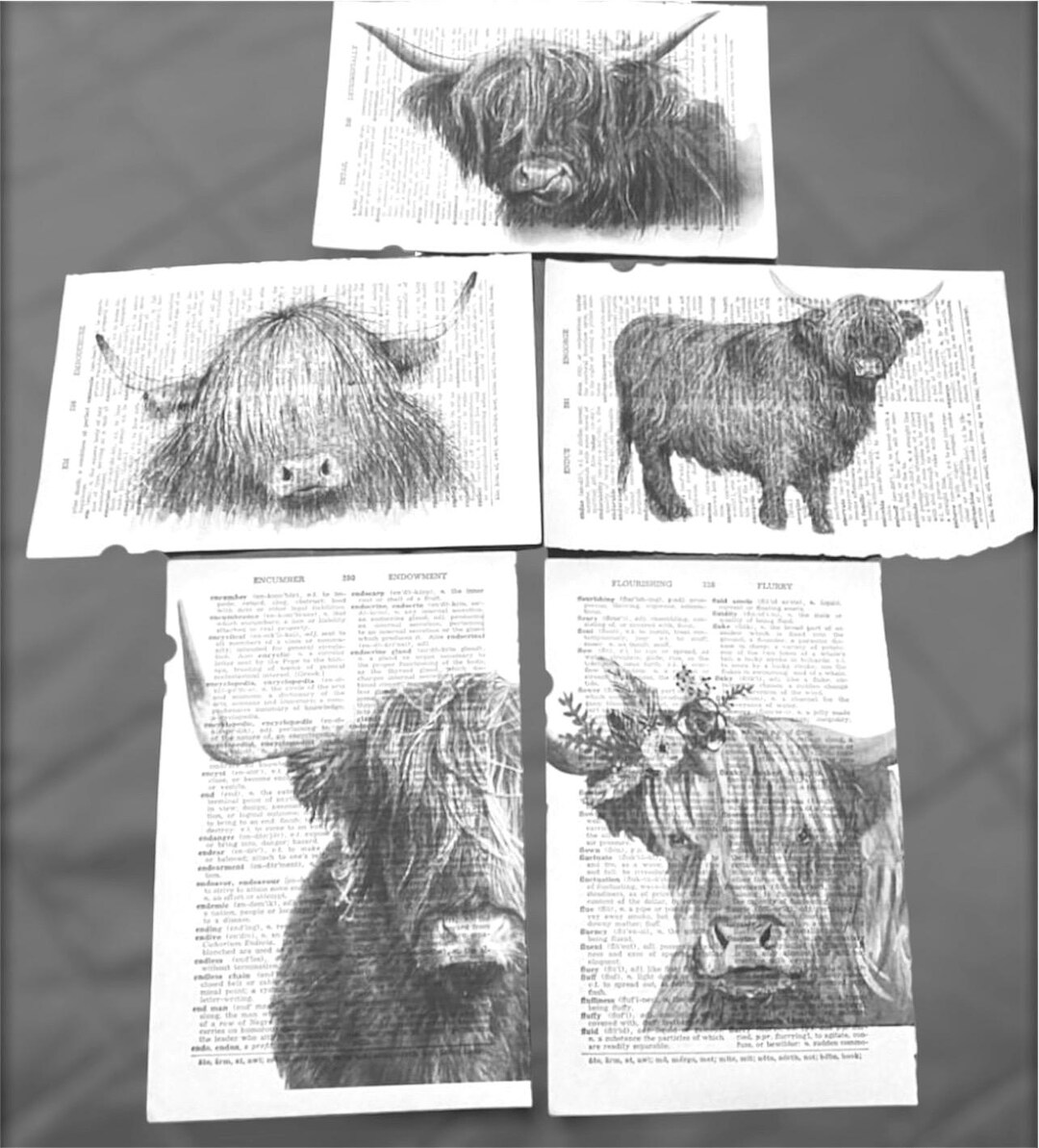 Highland Cow Themed Dictionary Prints - Etsy