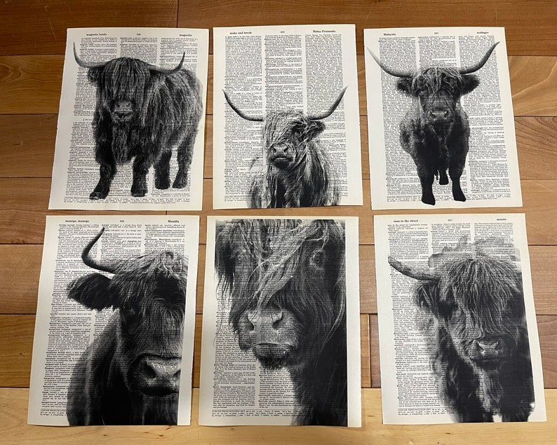 Highland Cow Themed Dictionary Prints - Etsy