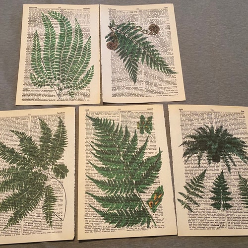 Plant Themed Dictionary Prints - Etsy