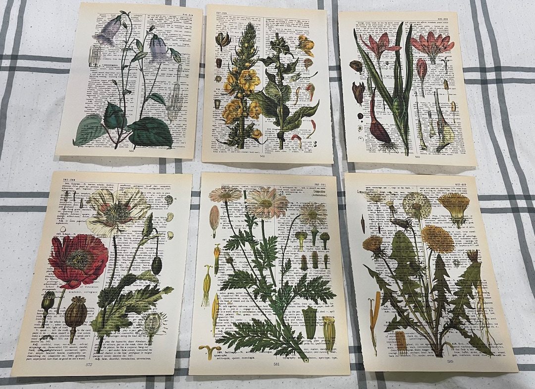 Botanical Floral Themed Dictionary Prints - Etsy