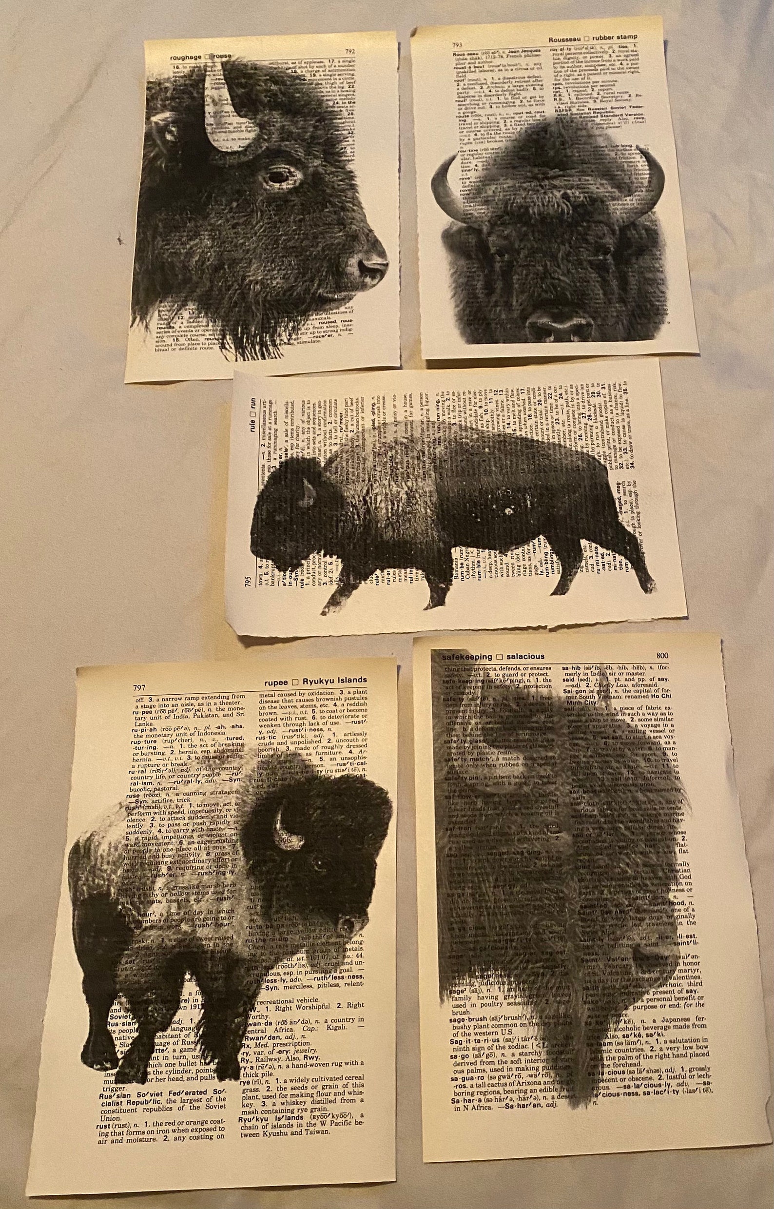 Bison/buffalo Themed Dictionary Prints - Etsy