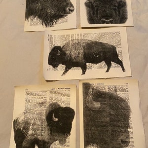 Bison - Etsy