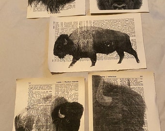 Cow & Cowboy Themed Dictionary Prints - Etsy