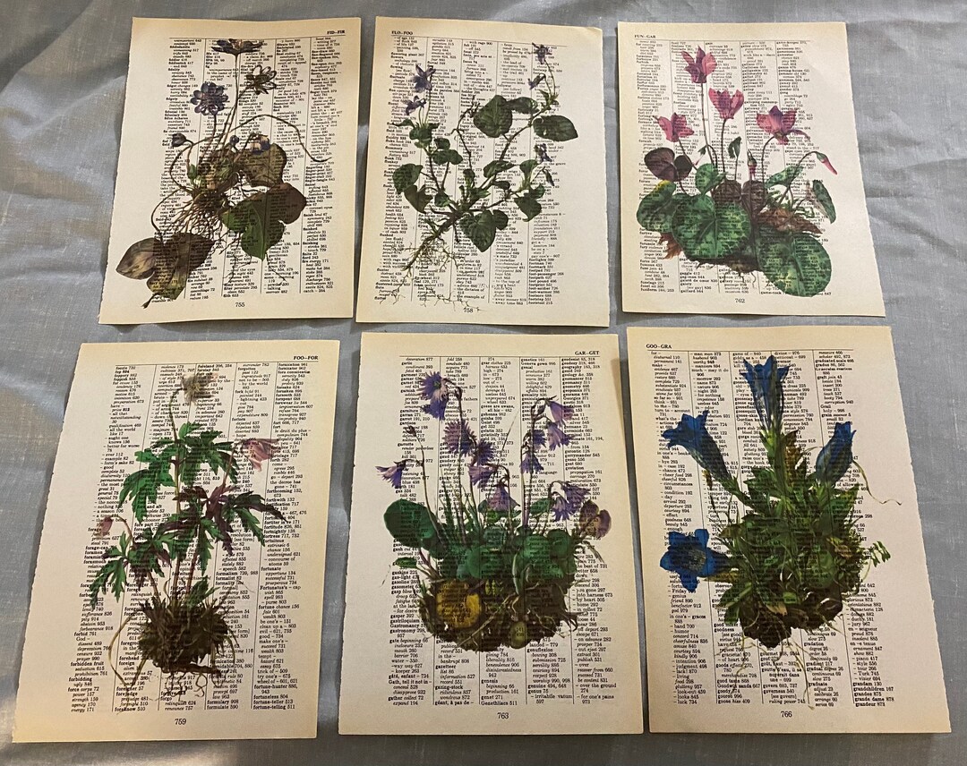 Botanical Floral Themed Dictionary Prints - Etsy