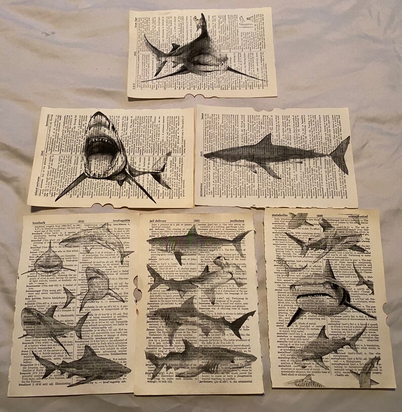 Shark Themed Dictionary Prints - Etsy