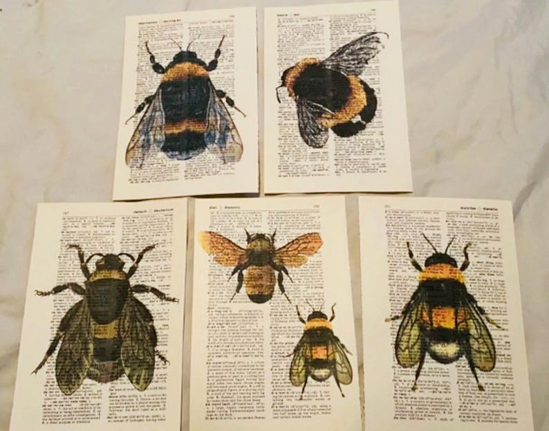 Bee Themed Dictionary Prints - Etsy