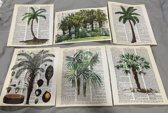 Palm Tree Themed Dictionary Prints | Etsy