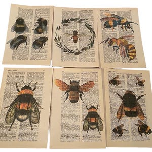 Set of 6 Bee Themed Dictionary Prints - Etsy