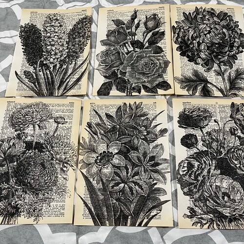 Octopus Themed Dictionary Prints - Etsy