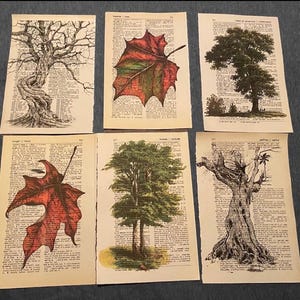 Tree Themed Dictionary Prints - Etsy