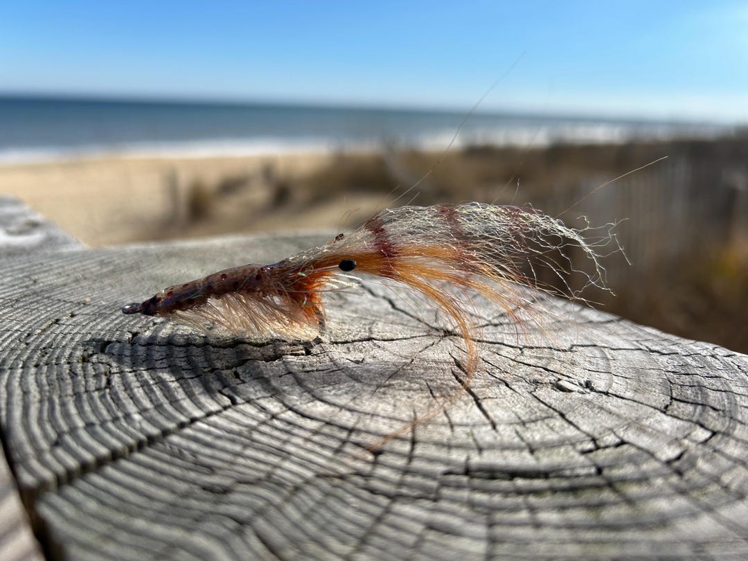 Stu's Shrimp - Salt Water Fly - Etsy