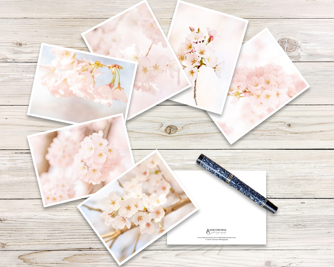 Cherry Blossom Note Cards set of 6 Photo Note Card Set | Etsy