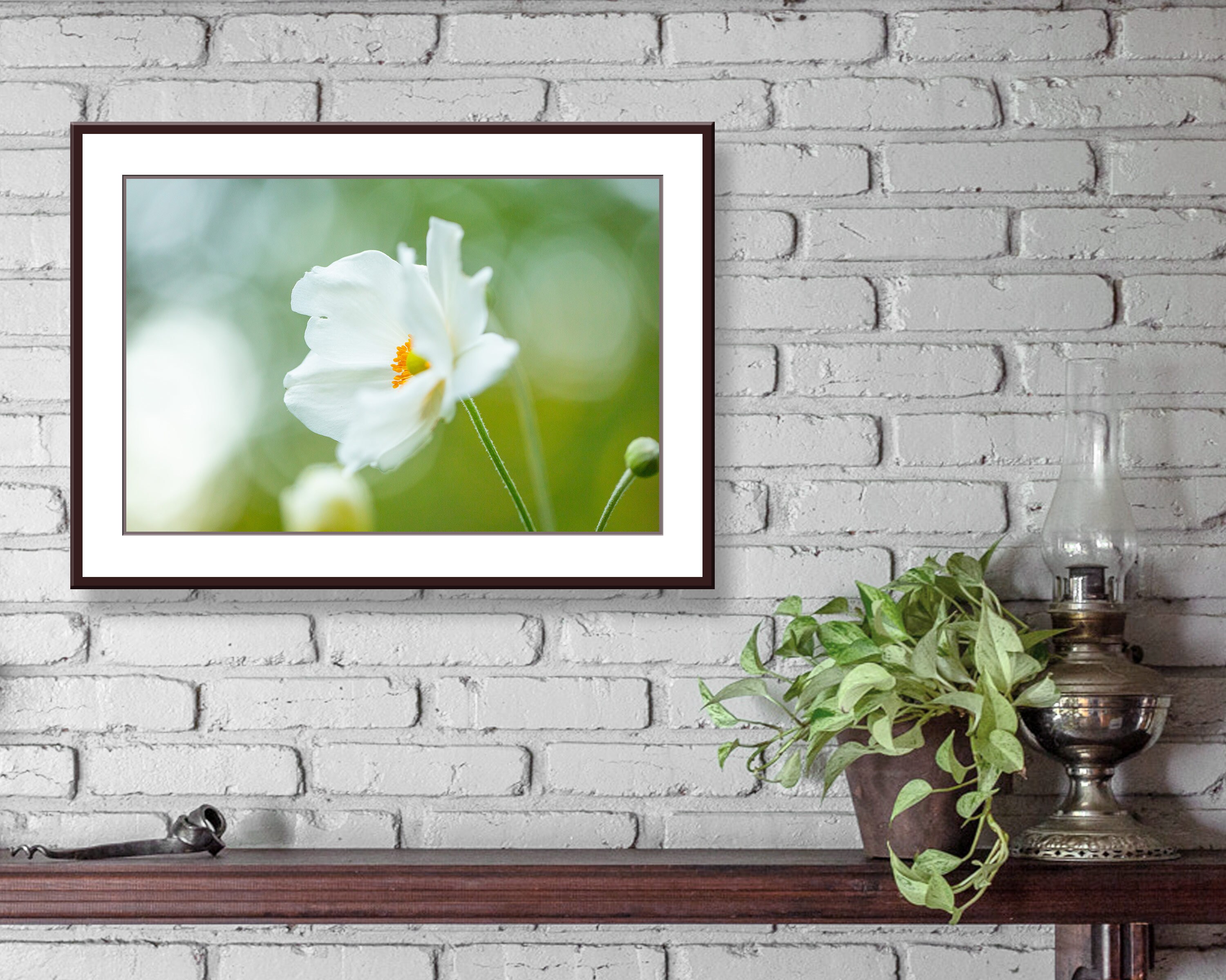 Wildflower Photo Instant Download, Printable Photo Wall Art, Wildflower ...