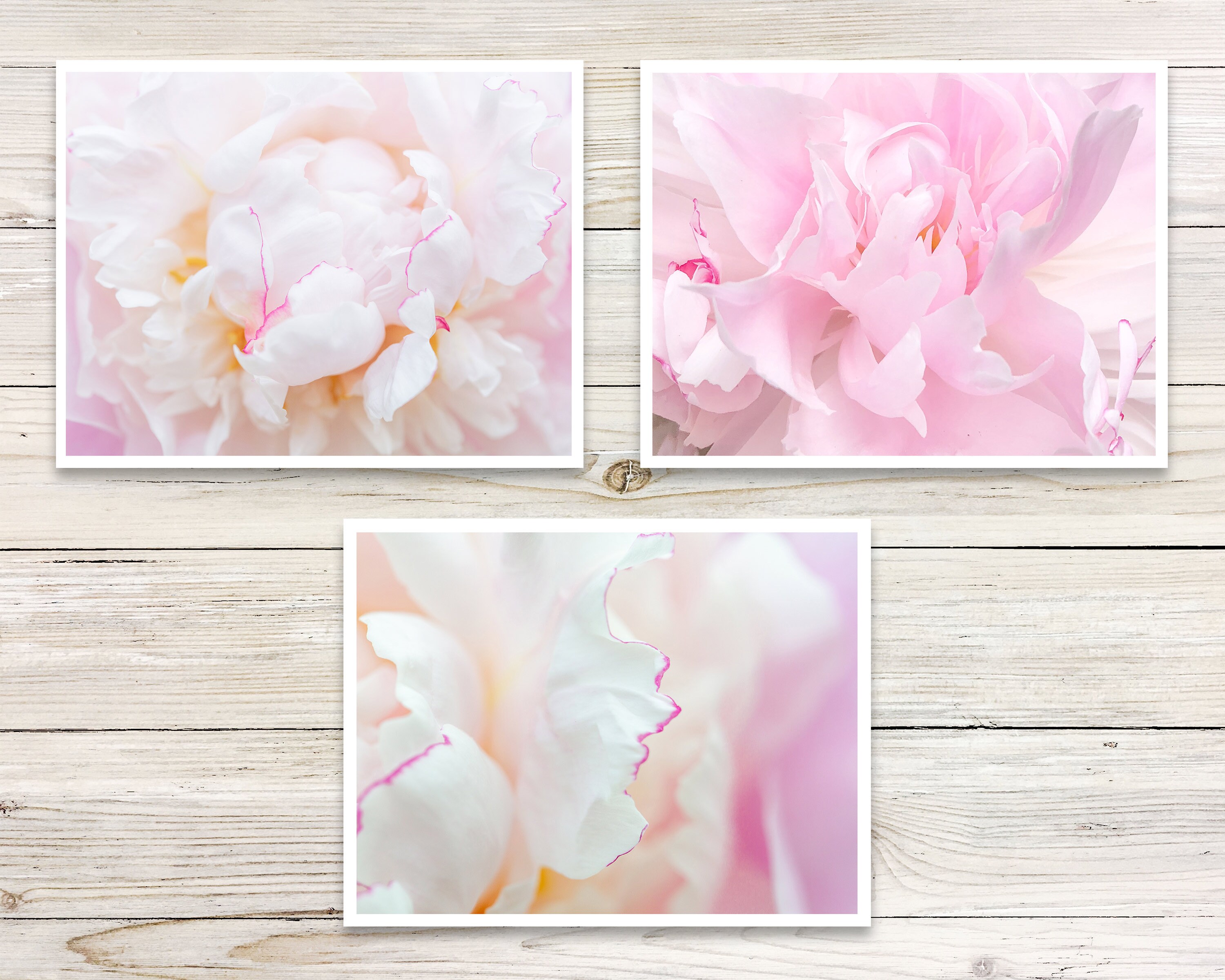 Peony Note Cards (set of 6), Photo Note Card Set, Blank Note Cards With ...