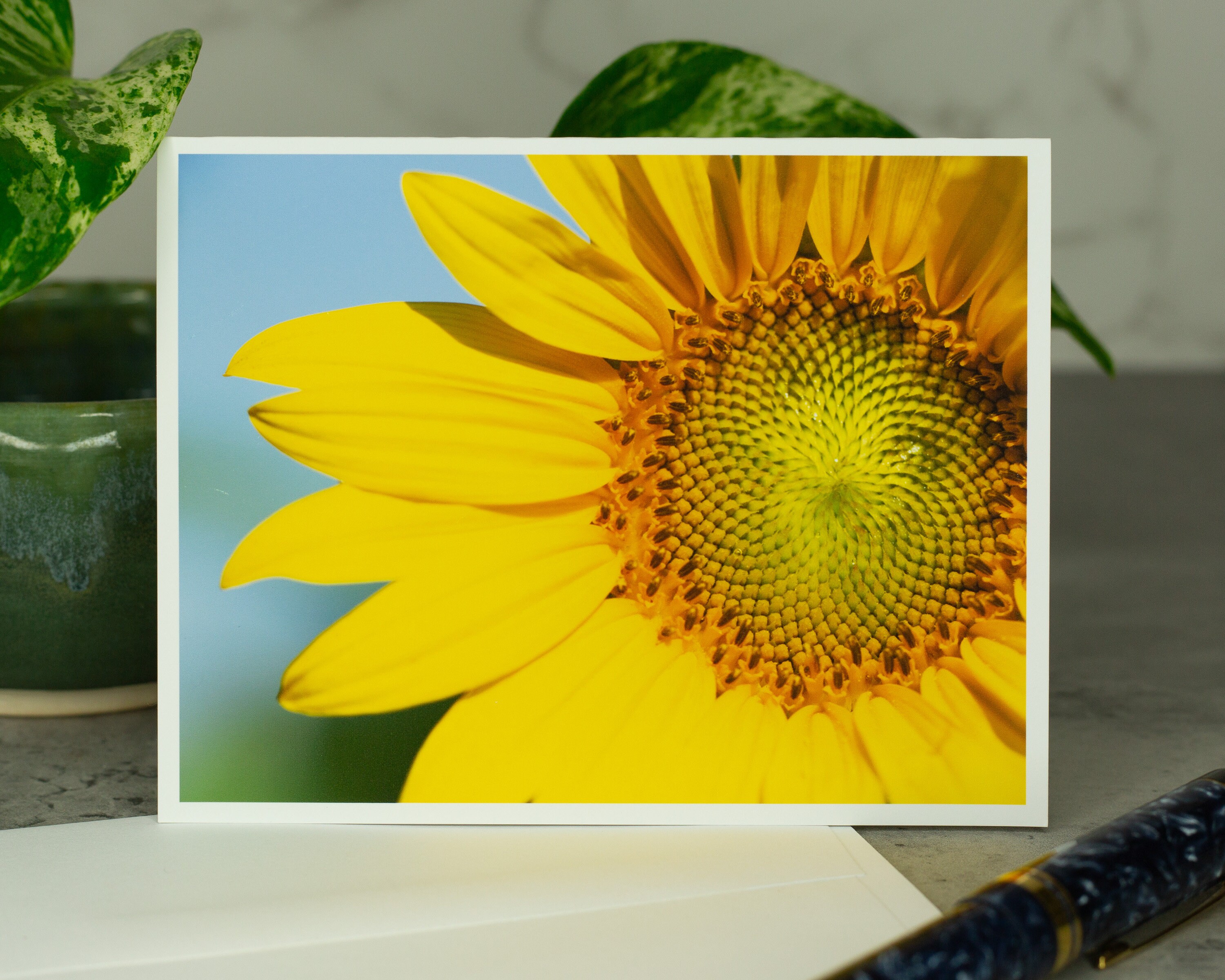 Sunflower Greeting Card, Flower Greeting Card, Sunflower Card, Card ...