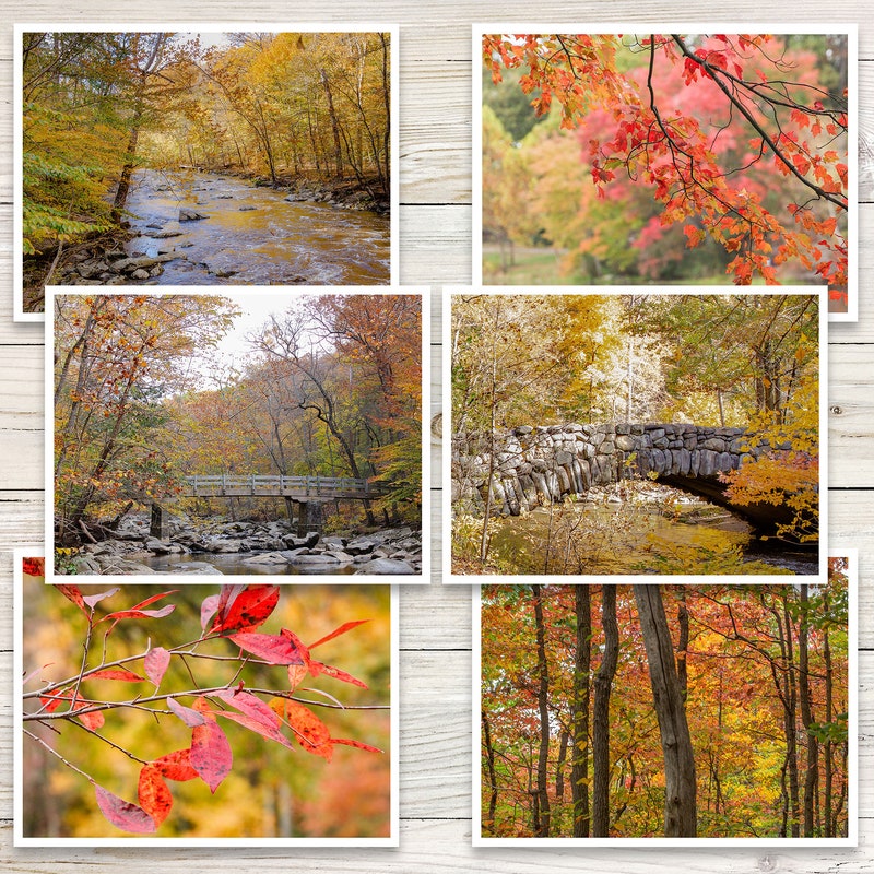 Fall Greeting Card - Etsy