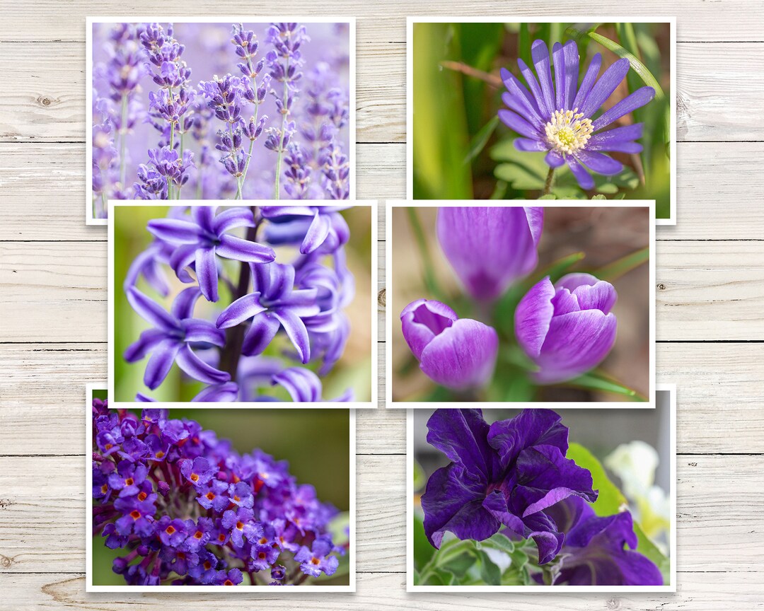 Mixed Floral Note Cards (set of 6), Purple Photo Note Cards, Botanical ...