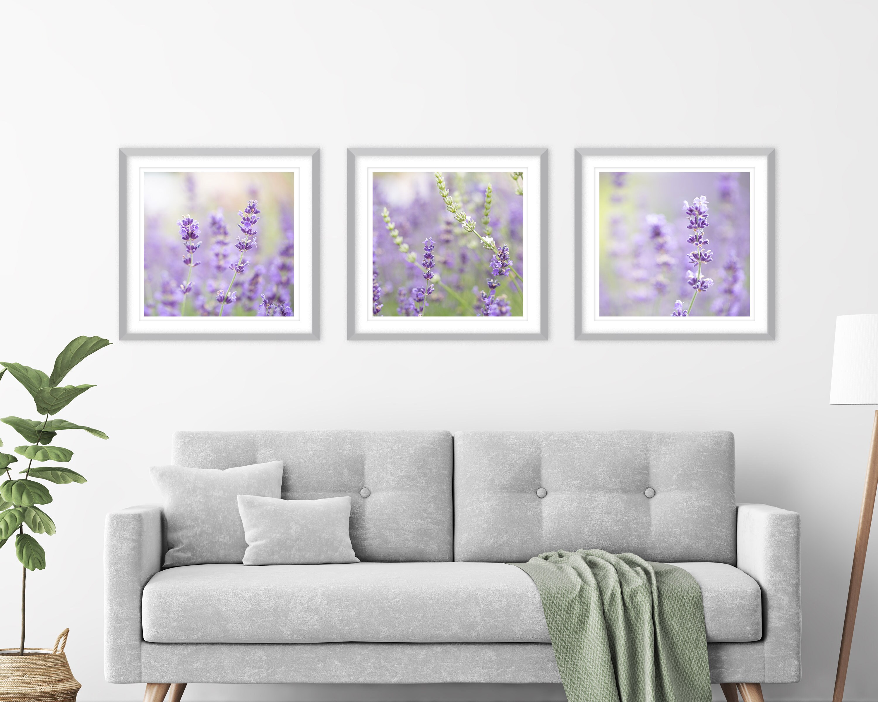 Lavender Fields Botanical Print Set of 3 Gallery Wall Collage - Etsy