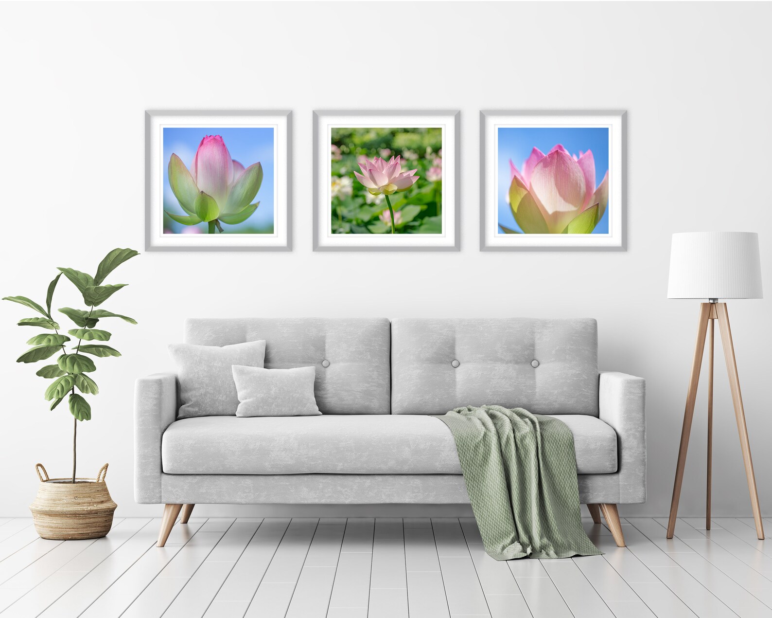 Lotus Blossom Gallery Wall Collage set of 3 Photo Prints - Etsy