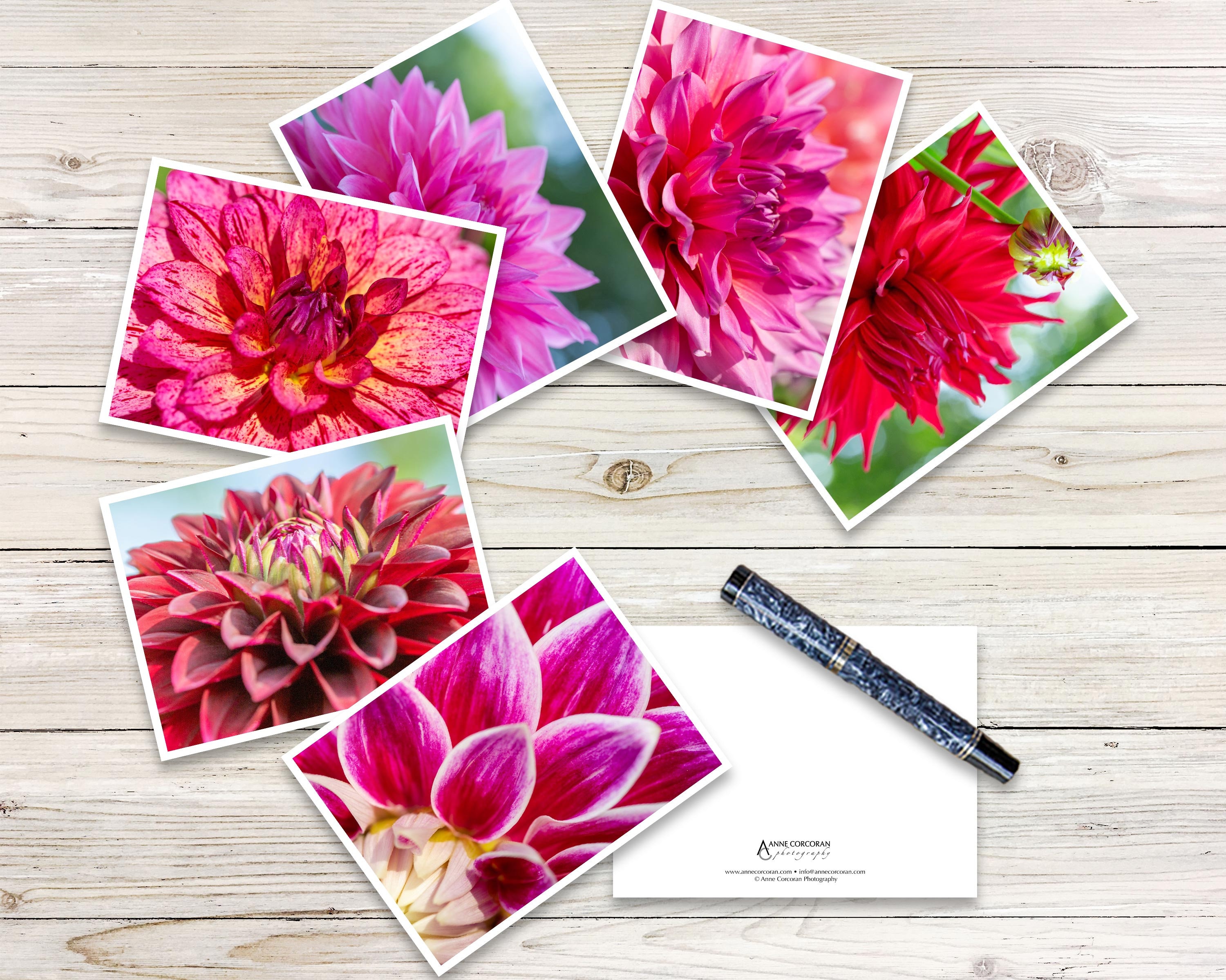 Dahlia Photo Note Cards set of 6, Dahlia Notecards, Flower Note Cards ...