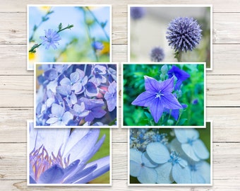 Blooms of Blue Note Cards (set of 6) Blank Inside - Etsy