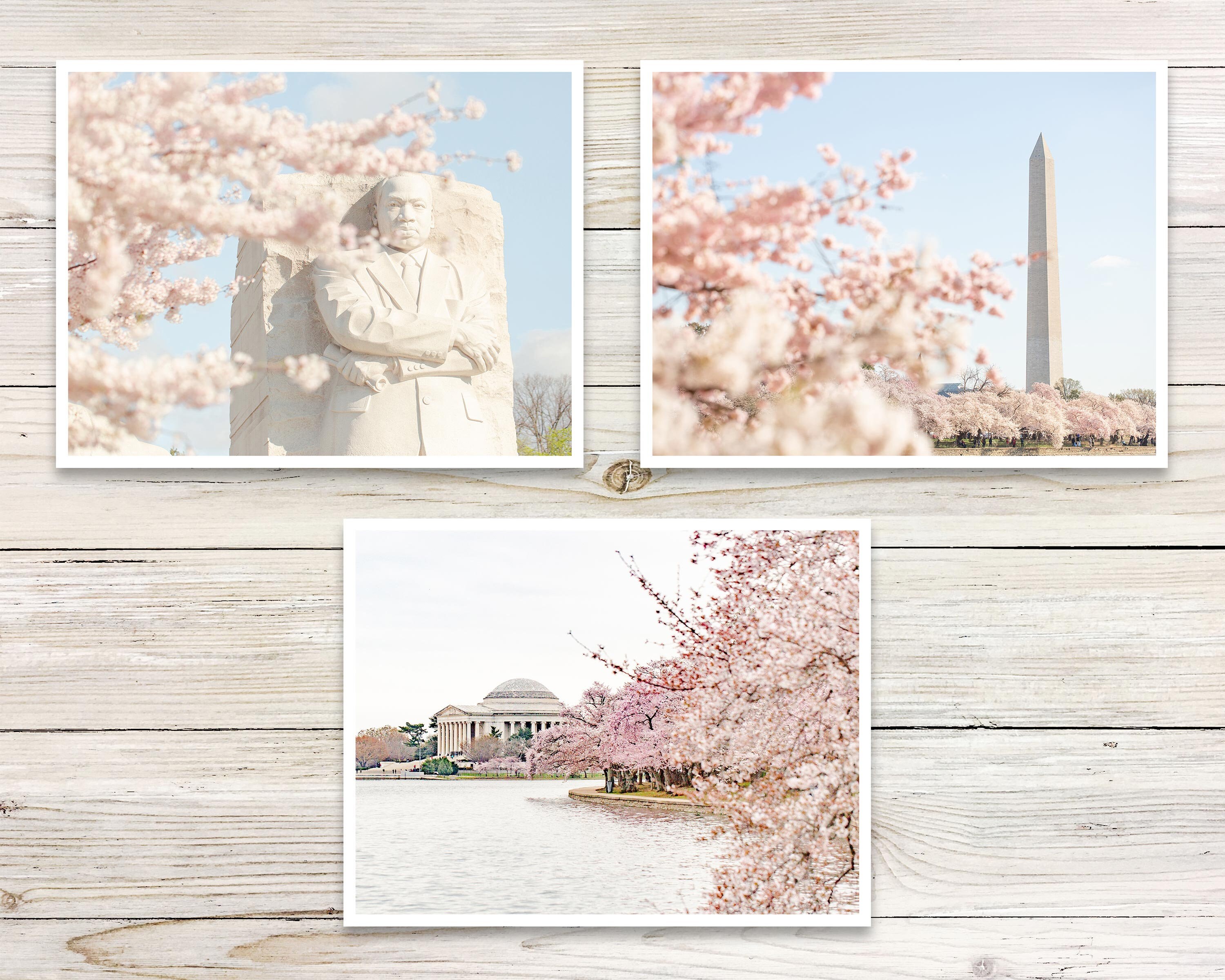 DC Cherry Blossoms Note Cards, Washington DC Landmarks, Spring ...