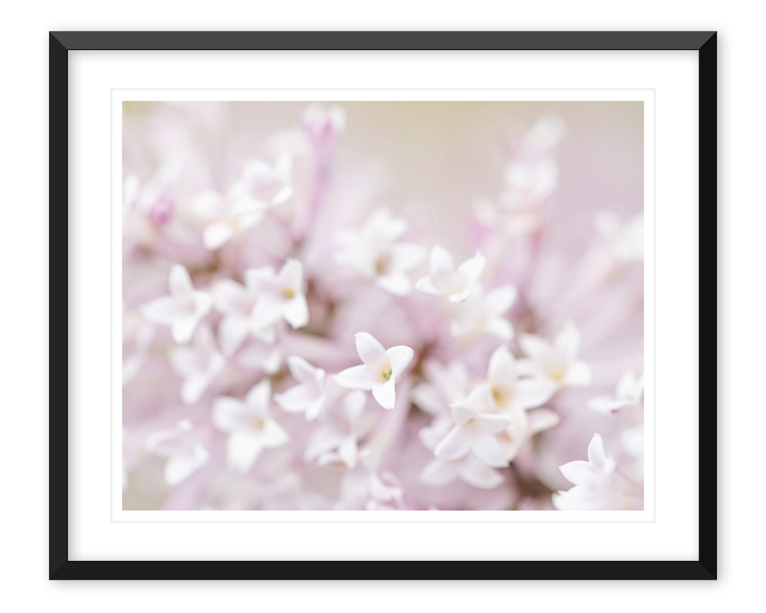 Lilac Print, Lilac Photography, Lilac Photo Print, Lilacs Art Print ...