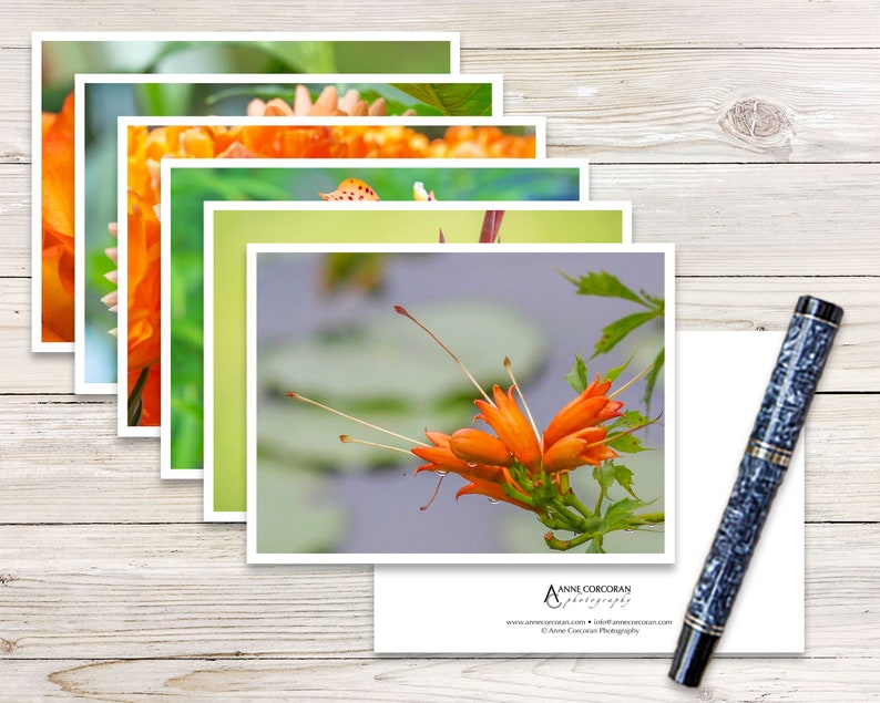 Orange Flower Photo Note Cards, Blank Floral Cards Set - Etsy