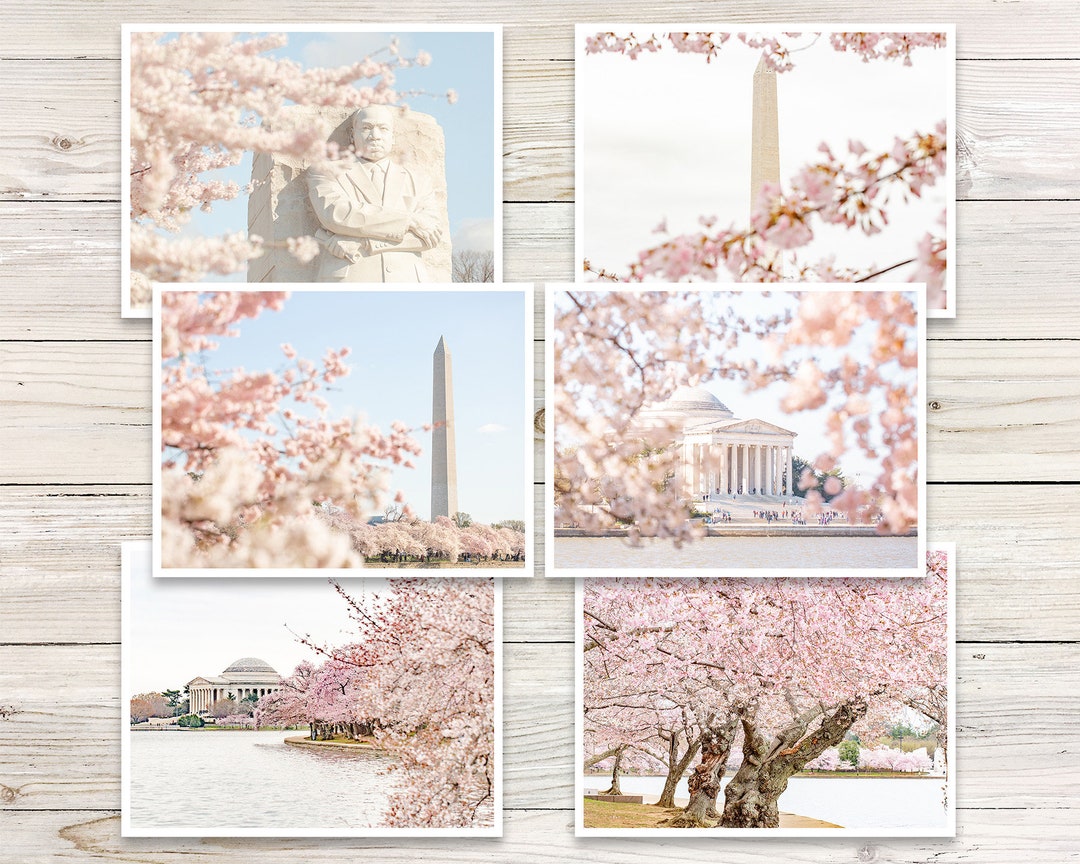 DC Cherry Blossoms Note Cards, Washington DC Landmarks, Spring ...