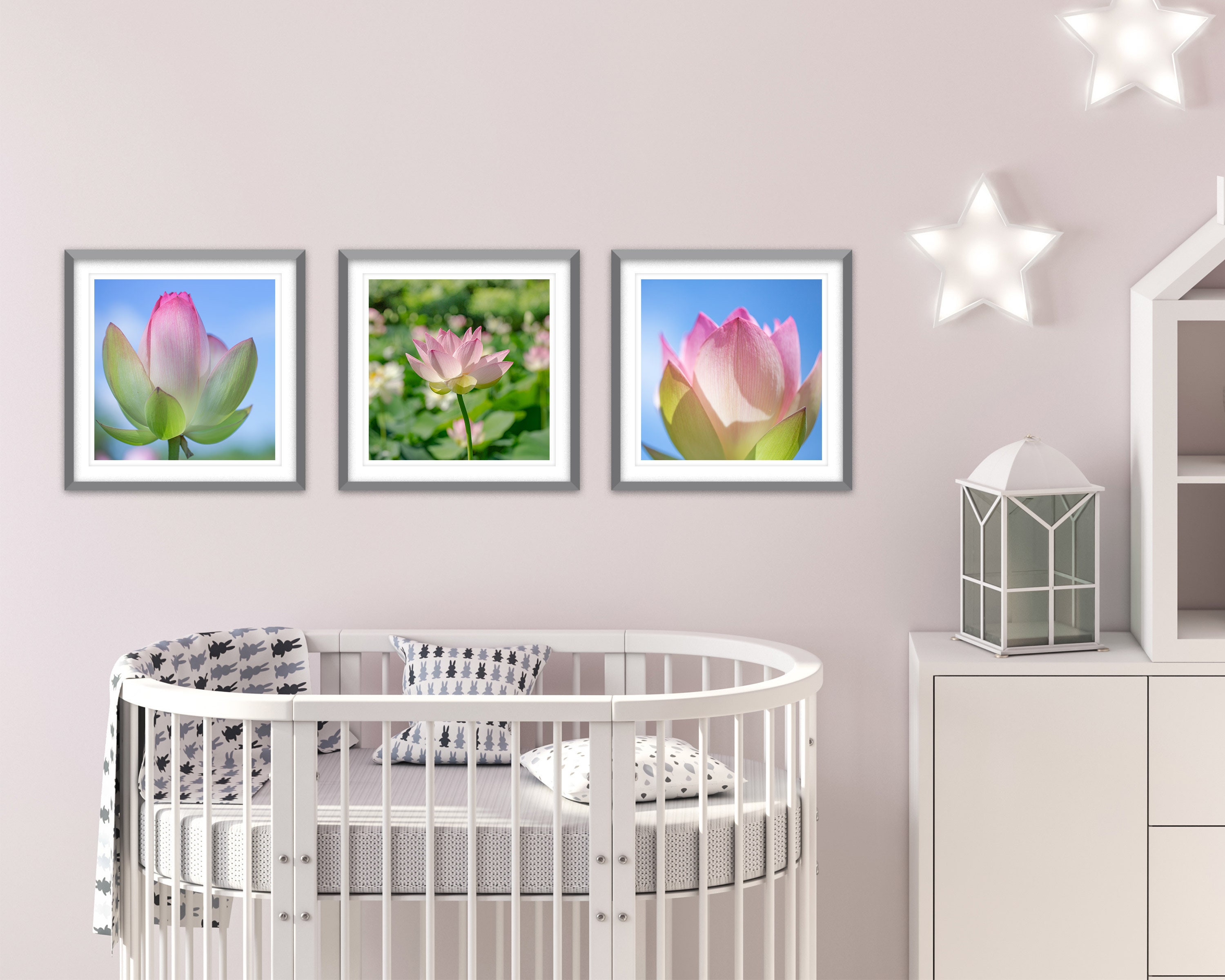Lotus Blossom Gallery Wall Collage set of 3 Photo Prints - Etsy