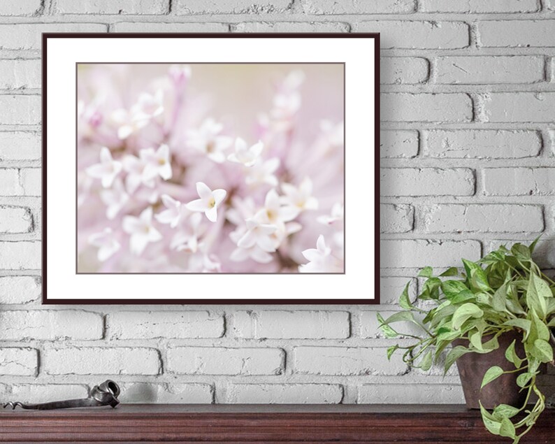 Lilac Print, Lilac Photography, Lilac Photo Print, Lilacs Art Print ...