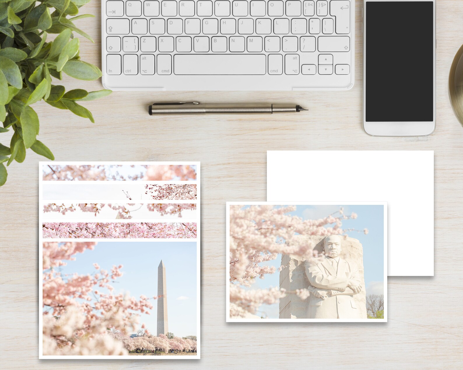 DC Cherry Blossoms Note Cards, Washington DC Landmarks, Spring ...