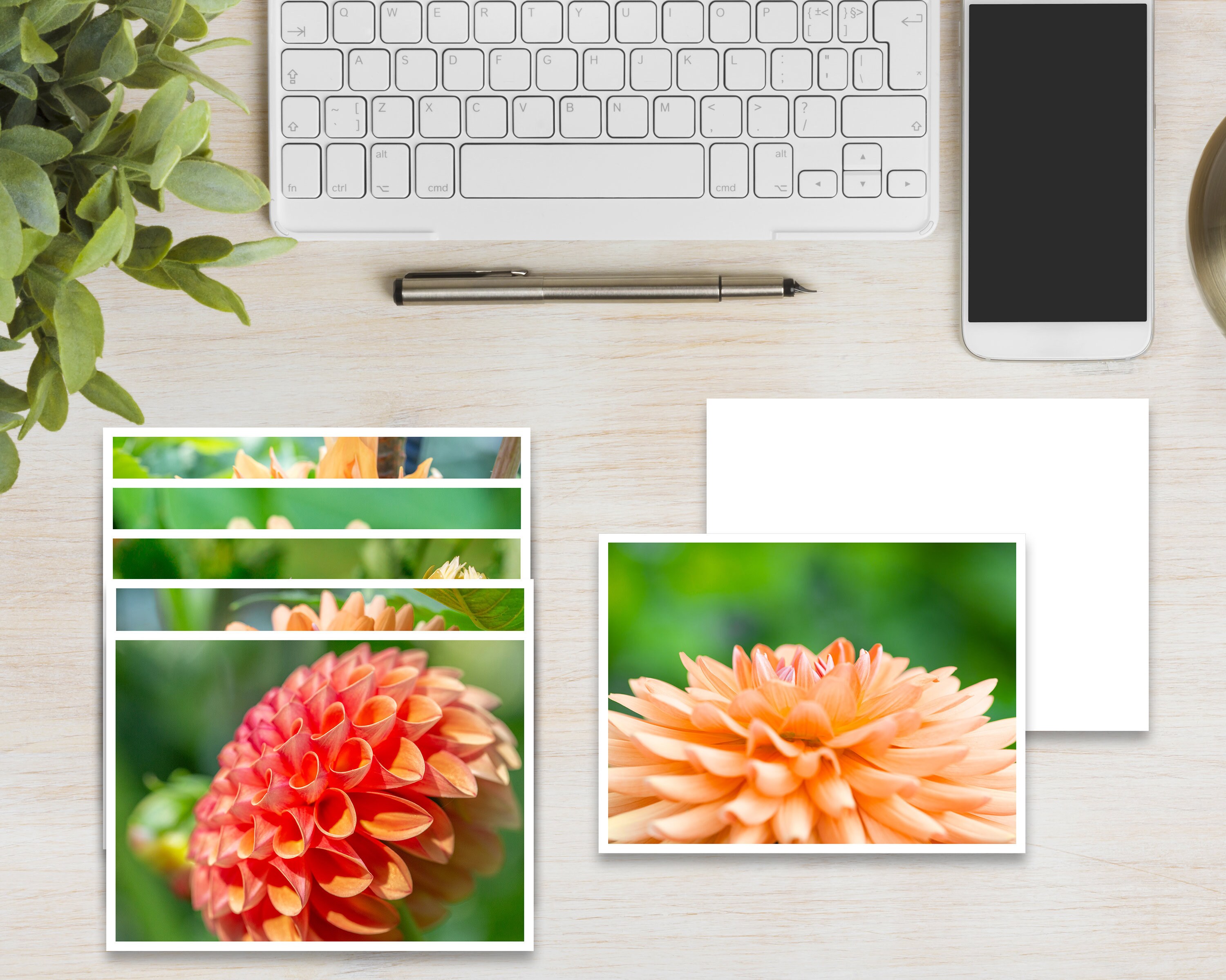 Dahlia Photo Note Cards (set of 6), Dahlia Notecards, Orange Flower ...