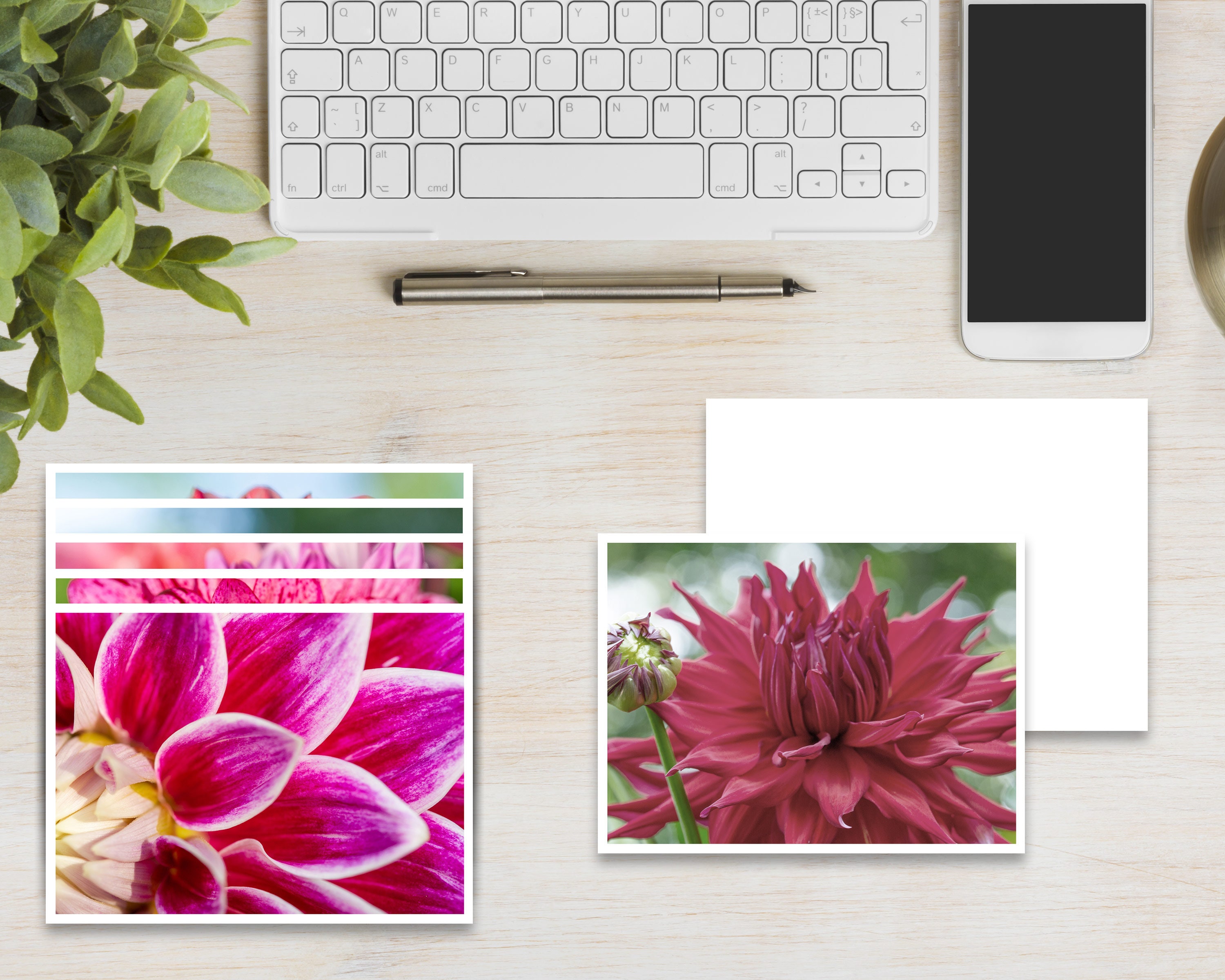 Dahlia Photo Note Cards set of 6, Dahlia Notecards, Flower Note Cards ...