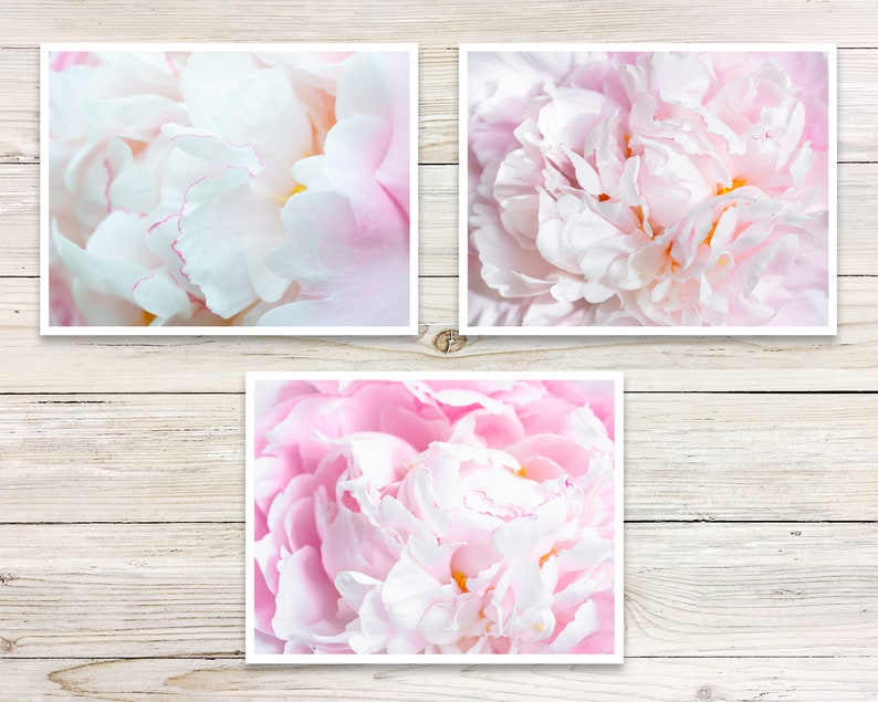 Peony Note Cards (set of 6), Photo Note Card Set, Blank Note Cards With ...