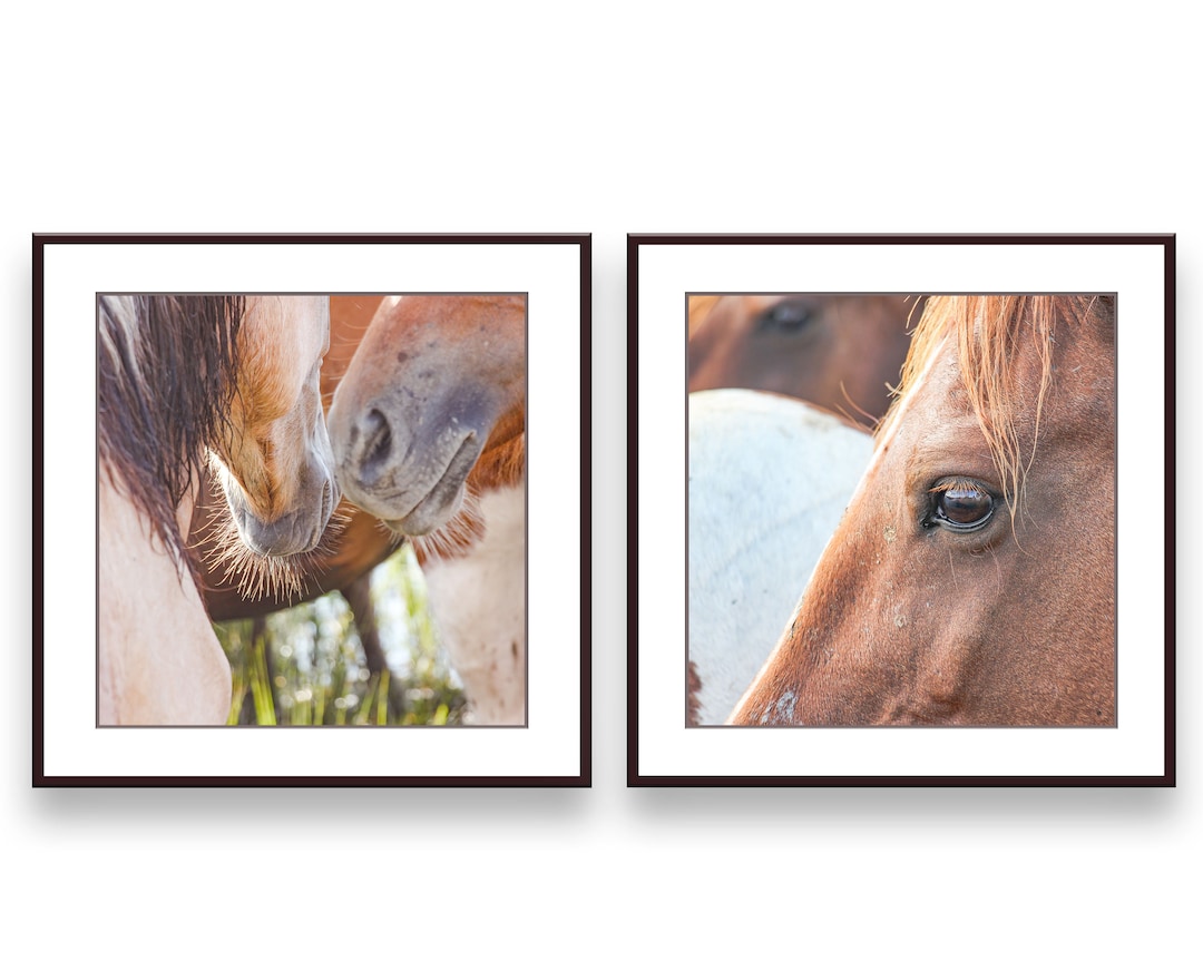 Wild Ponies Gallery Wall Collage (set of 2 Photo Prints), Wall Art ...