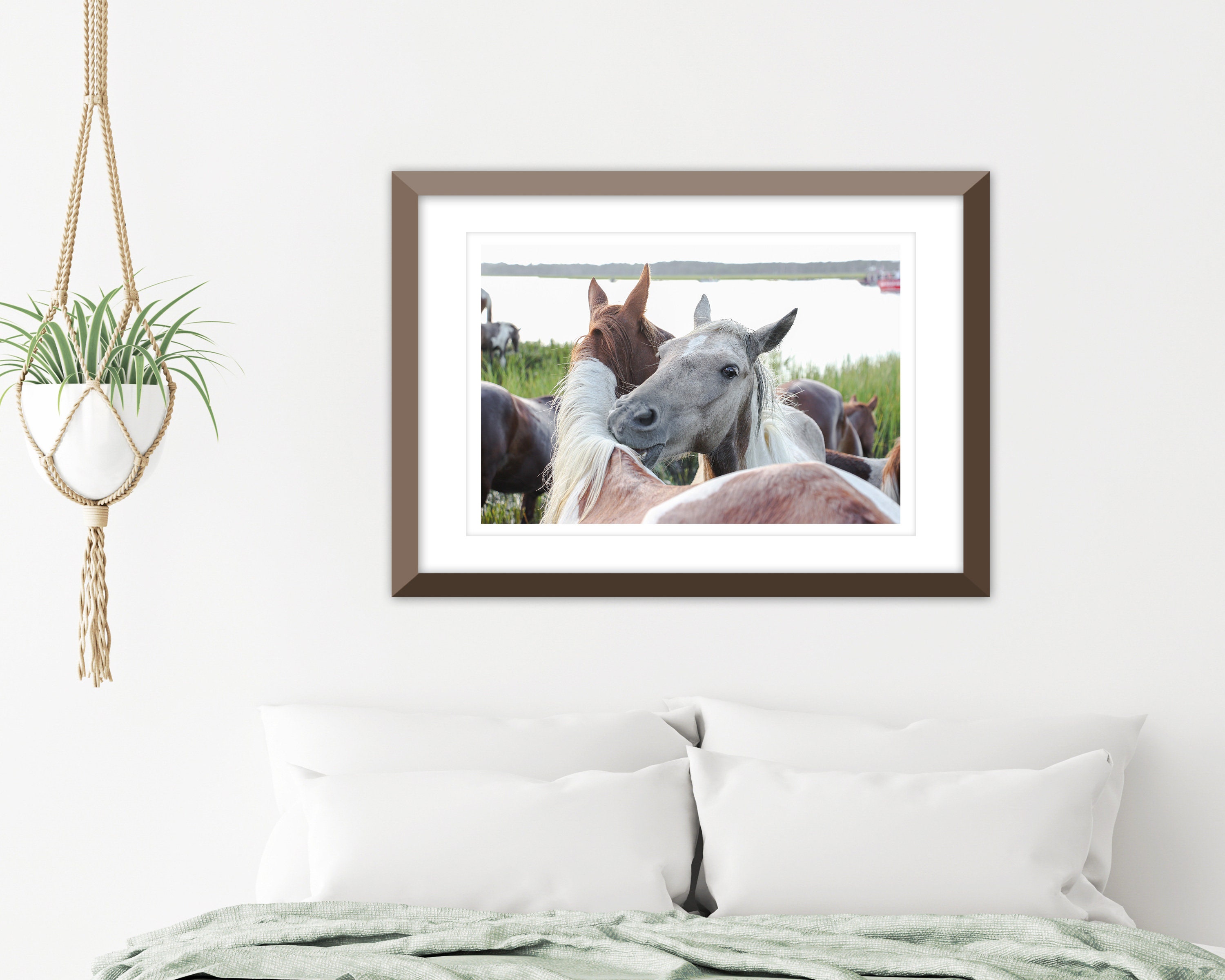 Wild Ponies Photo Instant Download, Printable Photo Wall Art, Wild ...