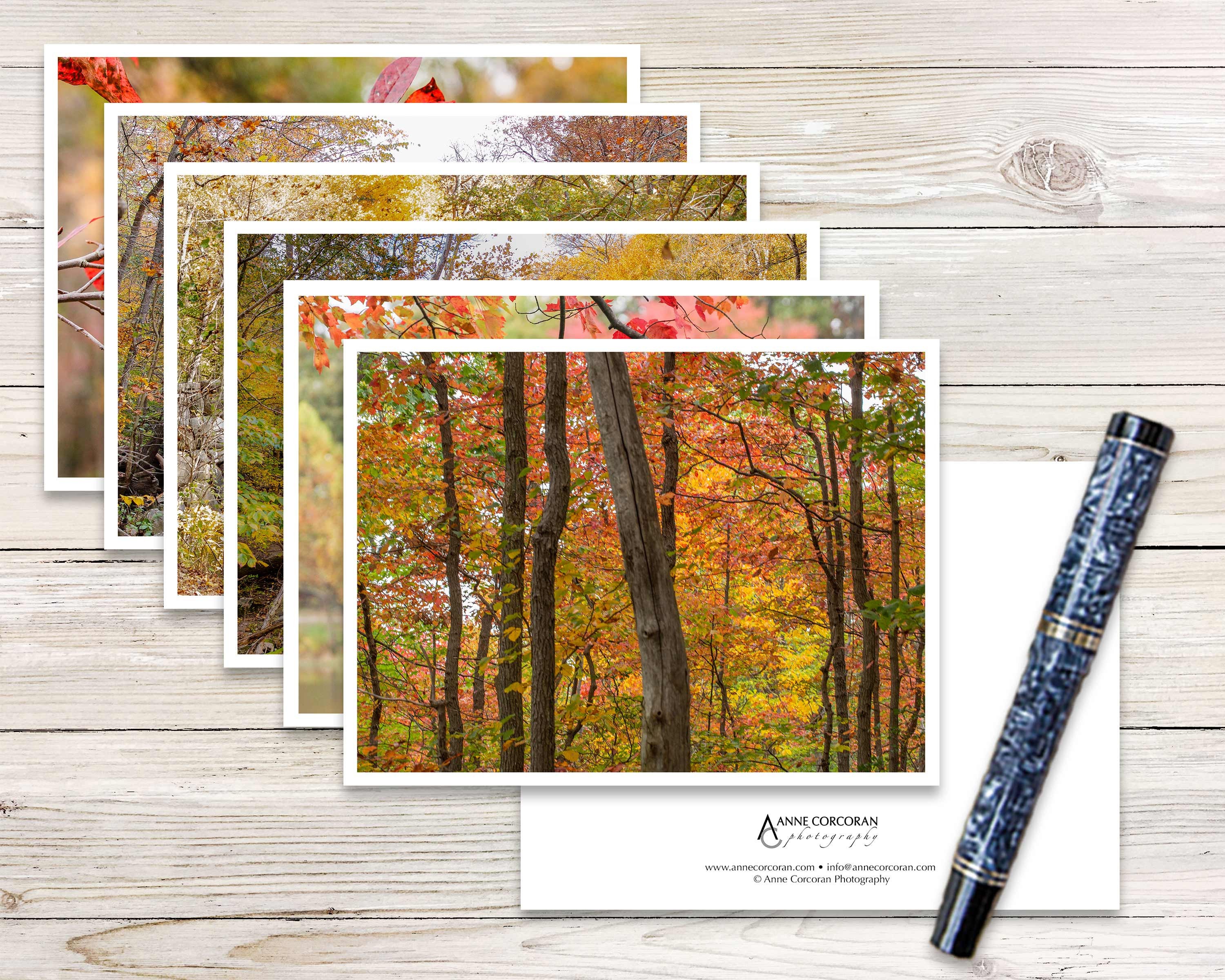 Autumn Note Cards (set of 6), Fall Note Cards, Fall Card Set, Fall ...