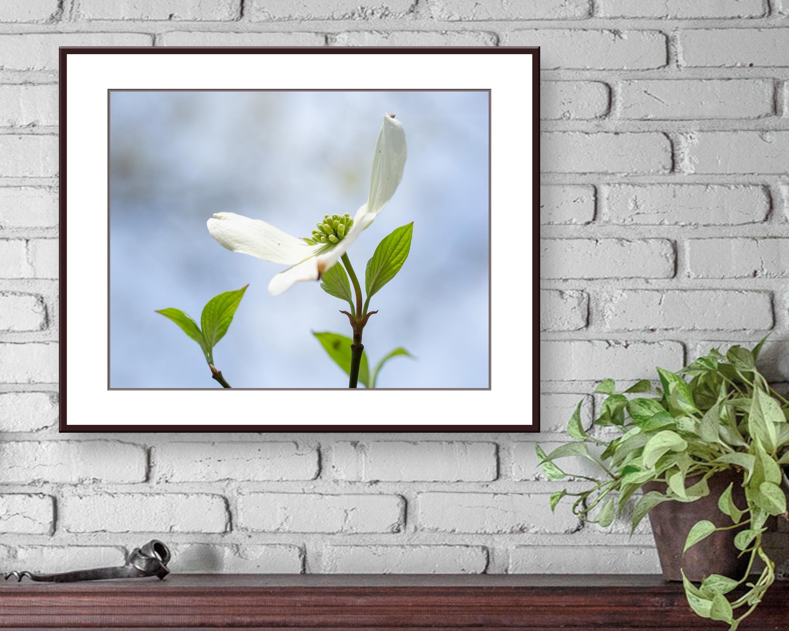 Dogwood Photo Print, Wall Art, Bedroom Decor, Home Decor - Etsy