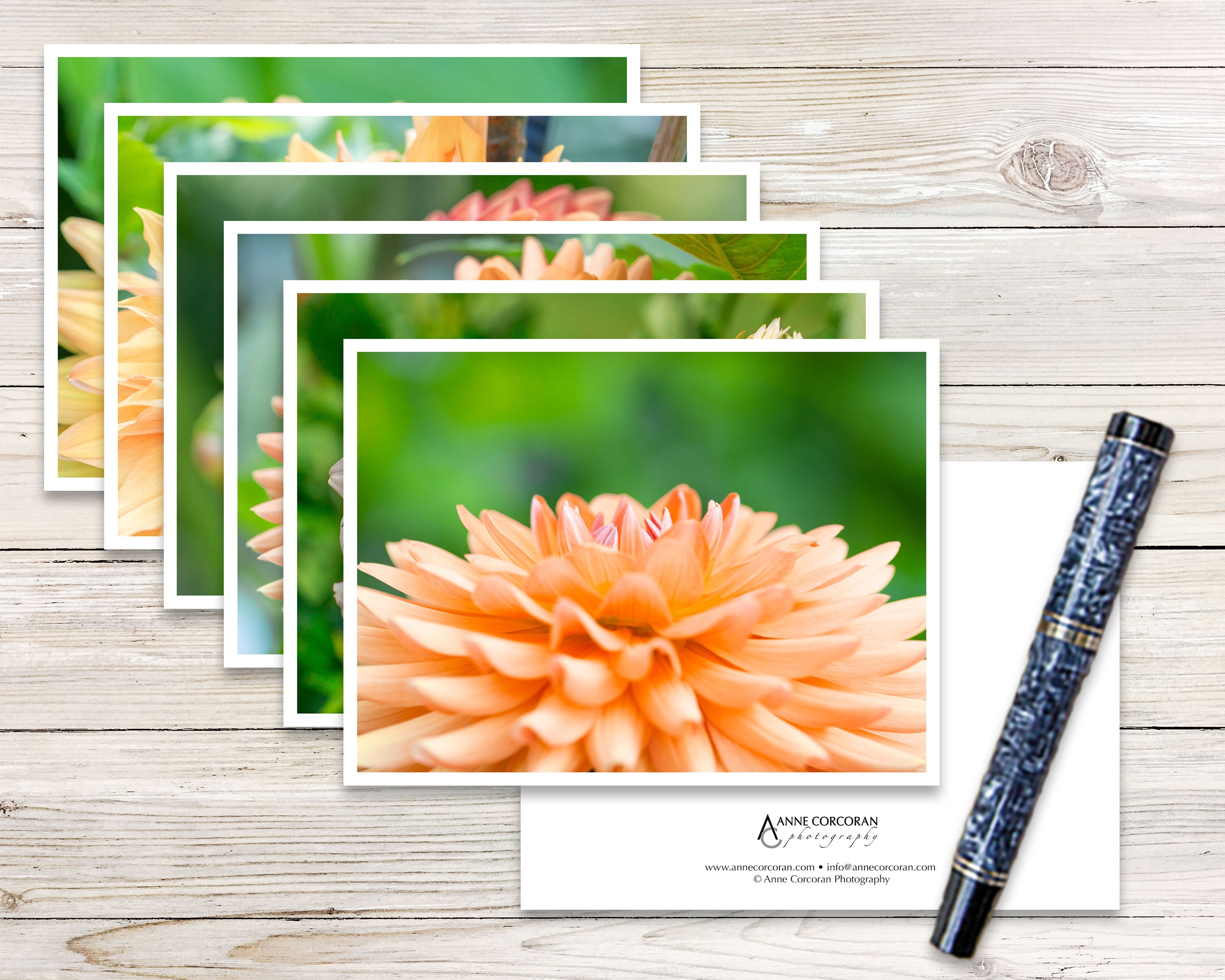 Dahlia Photo Note Cards (set of 6), Dahlia Notecards, Orange Flower ...
