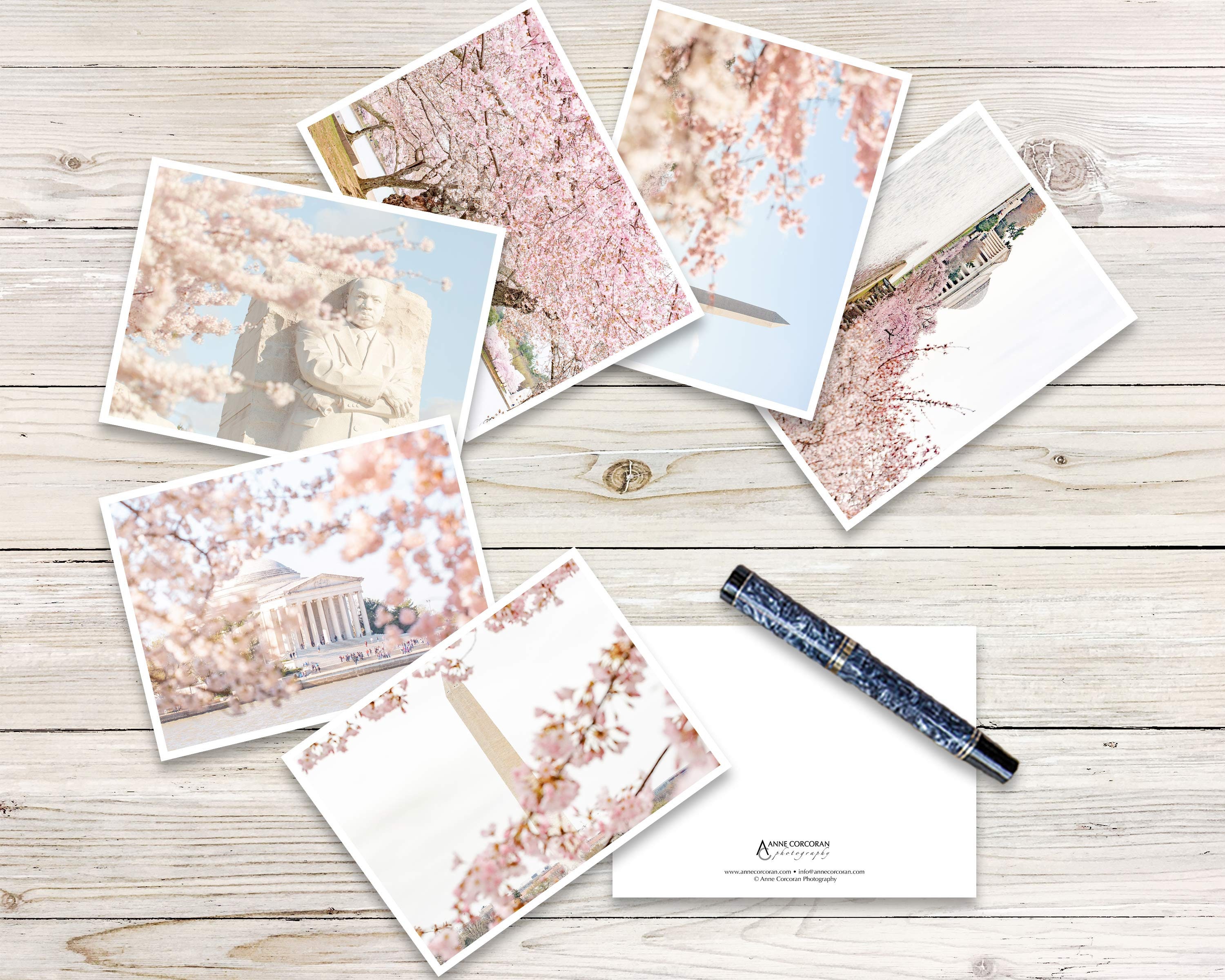 DC Cherry Blossoms Note Cards, Washington DC Landmarks, Spring ...