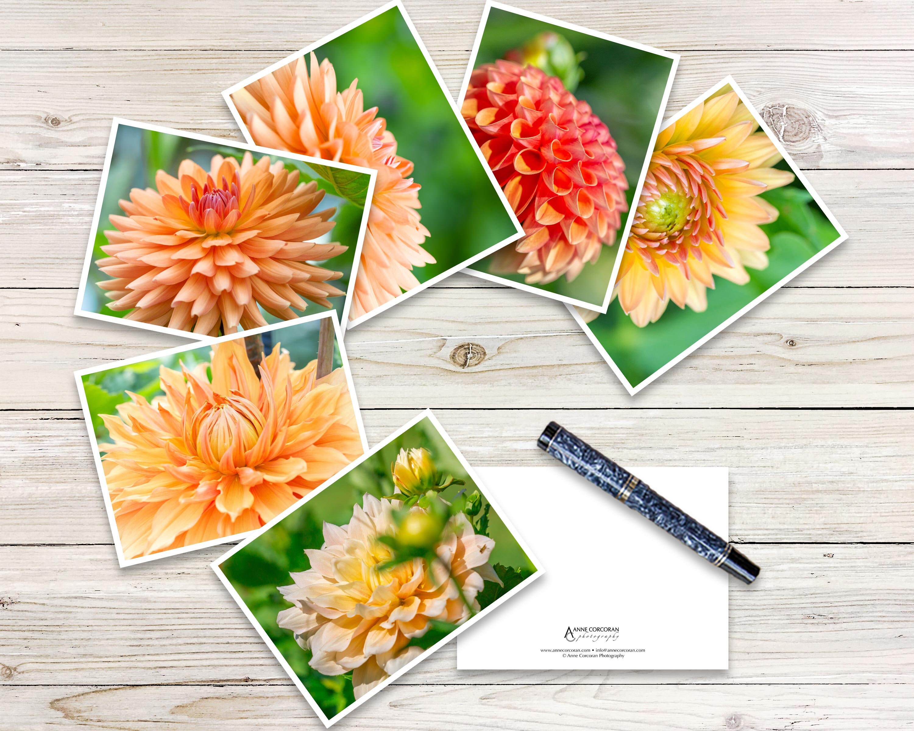 Dahlia Photo Note Cards (set of 6), Dahlia Notecards, Orange Flower ...