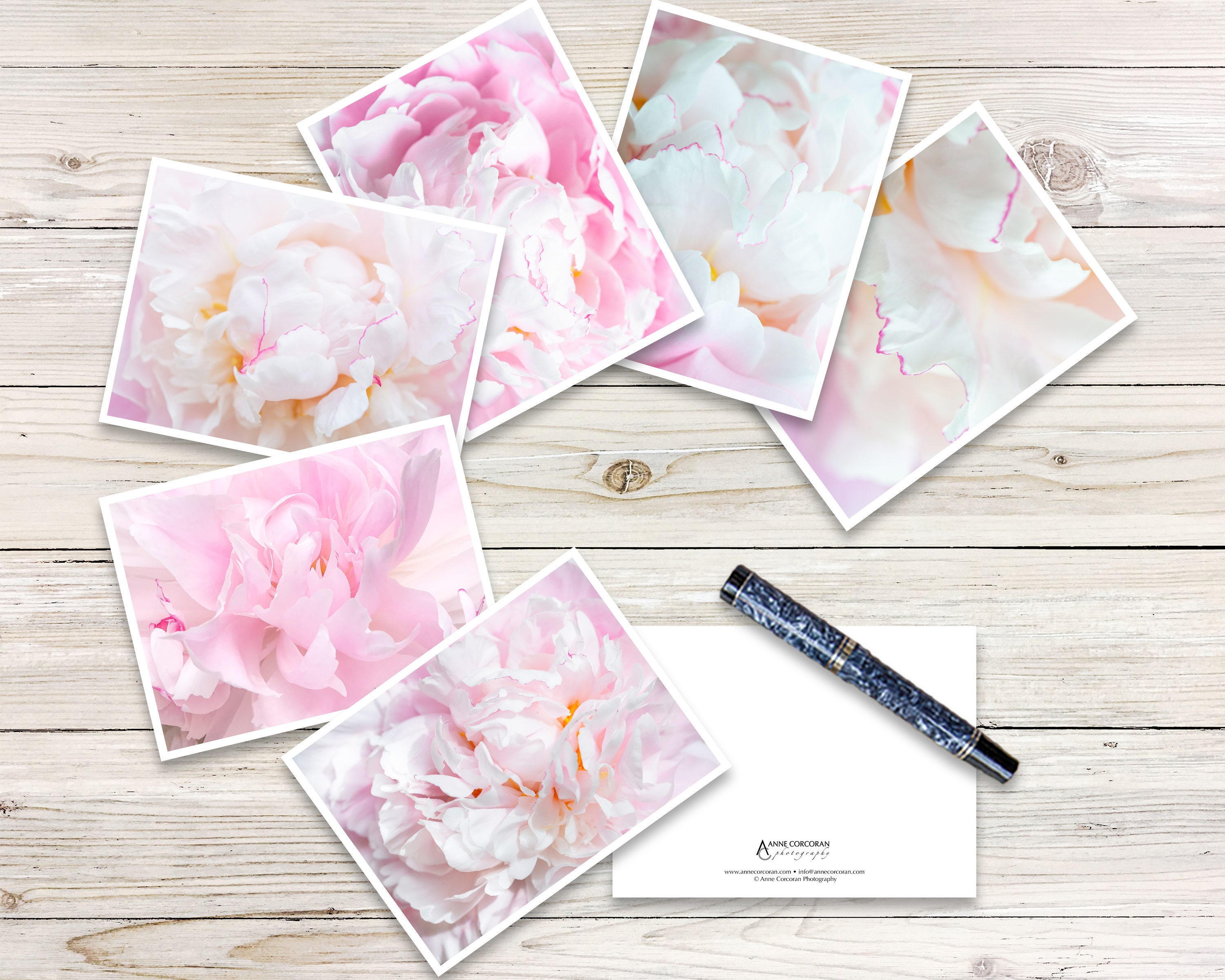 Peony Note Cards set of 6, Photo Note Card Set, Blank Note Cards With ...