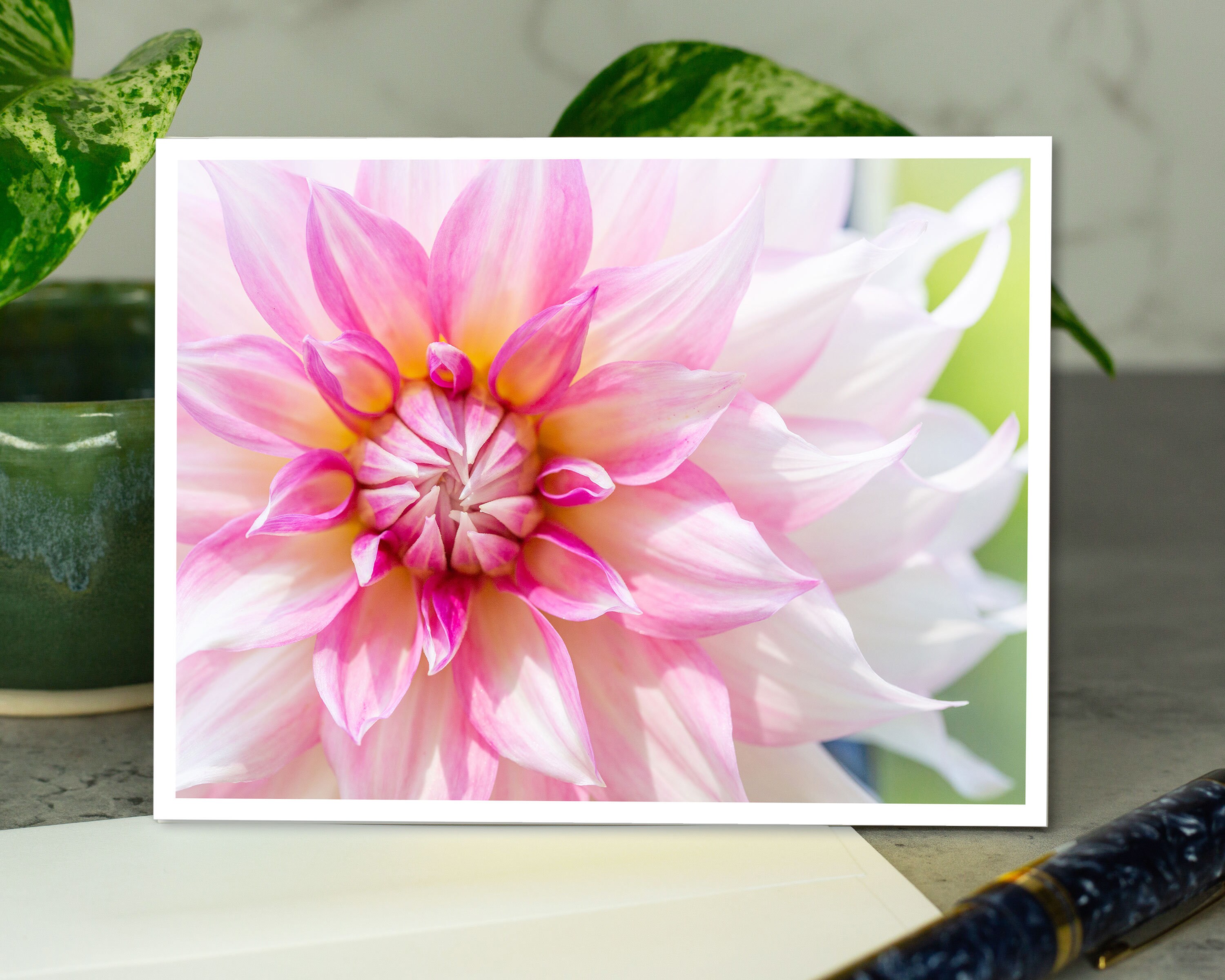 Dahlia Greeting Card, Flower Greeting Card, Dahlia Card, Card With ...