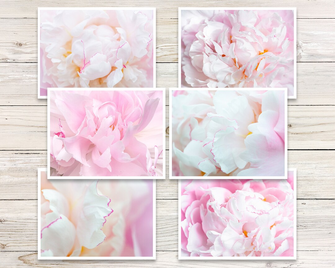 Peony Note Cards (set of 6), Photo Note Card Set, Blank Note Cards With ...