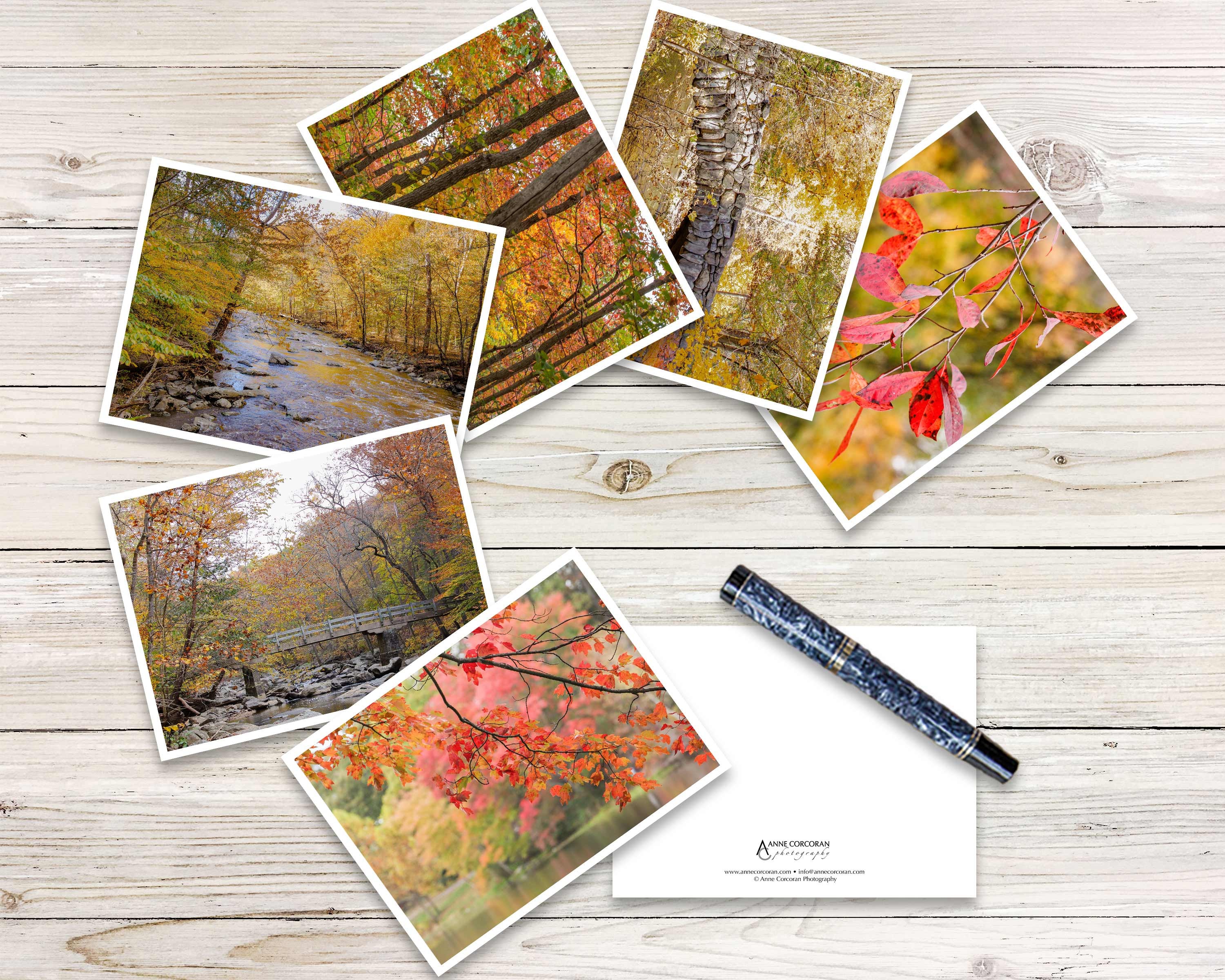 Autumn Note Cards (set of 6), Fall Note Cards, Fall Card Set, Fall ...